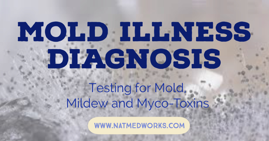 Mold and Mildew Illness Testing | Toxic Mold Exposure Tests